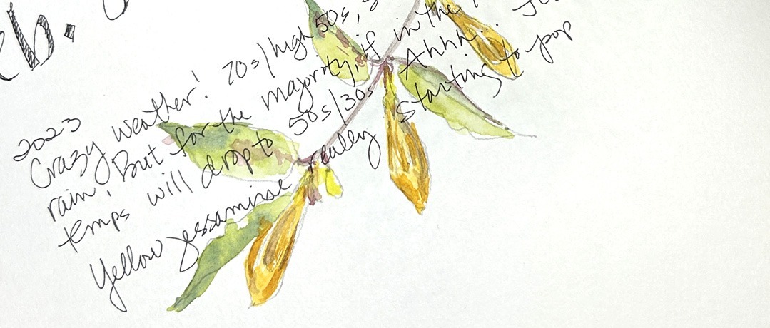 Beginning a Perpetual Journal - Pam Johnson Brickell